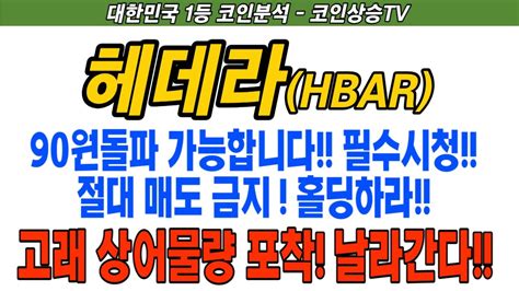 헤데라 헤데라코인 헤데라코인전망 코인전망 비트코인 이더리움 도지코인 Youtube