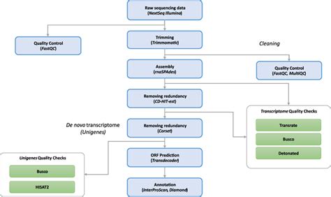 Workflow Of The Bioinformatic Pipeline From Raw Input Data To