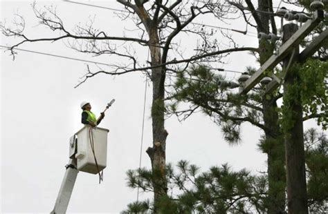 Richmond Fishburne S Legal Blog Utility Easements And Contentious Tree Trimming