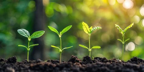 Premium Photo Logistic Growth