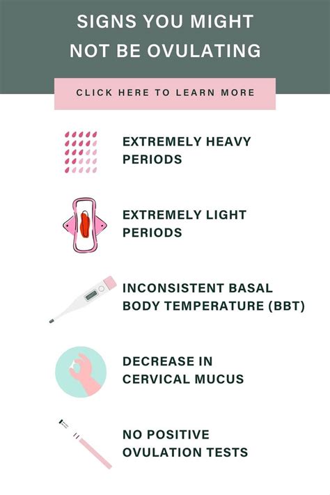 Everything You Need To Know About Anovulation Everything You Need To Know About Anovulation