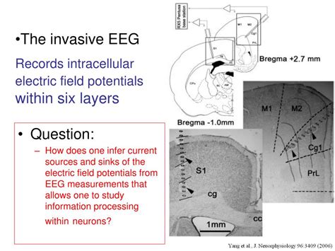 PPT FILTER OUT HIGH FREQUENCY NOISE IN EEG DATA USING THE METHOD OF MAXIMUM ENTROPY PowerPoint
