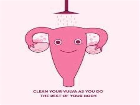 how to treat your private part பறபப உறபப சரயக சததம சயவத எபபட