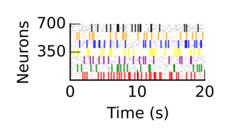 Correlated Inputs Generate Synaptic Clusters On Dendrites A And B A Download Scientific