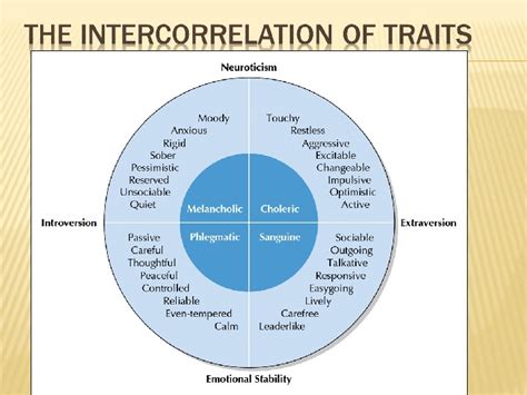 Lecture 6 Individually Typological Features Of Personality
