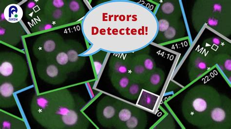 Chromosome Copying Errors Pinpointed In Developing Embryos It Aint Magic