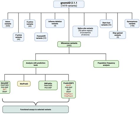 Workflow Outlining The Curation Process Of 1419 Variants Initially
