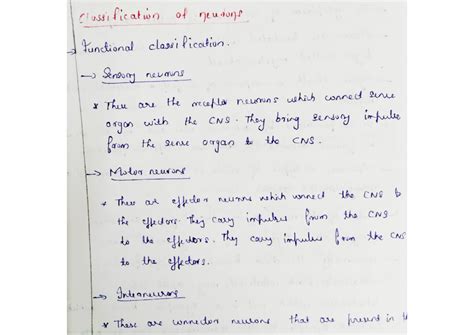 Classification Of Neurons Human Anatomy And Physiology Studocu