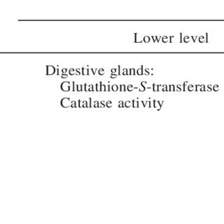 Overview Of The Testing Protocol Download Table