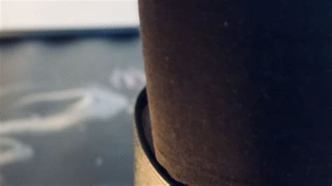 Smashed Imaginary Pear Balls Sassy Dane Clips4sale