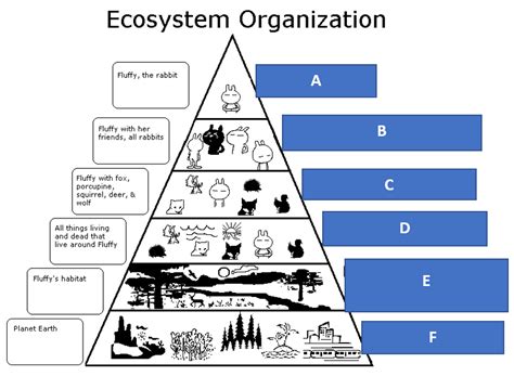Biosphere Ecosystem Community Population Organism