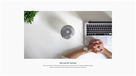 LUA Behance