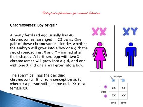 Psychology Ppt Download Psychology Ppt Download