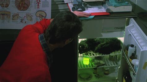 Re Animator Blu Ray Barbara Crampton