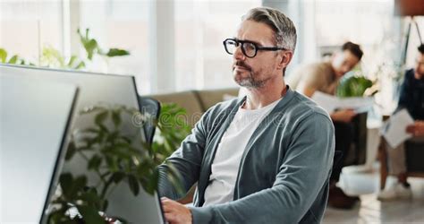 computer system and web developer with man programmer in office for
