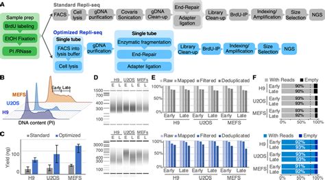 comparison of standard and optimized repli seq methods a workflow of