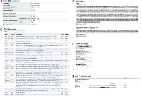 Typical Example Of The Detailed Annotation Of Triflcds Entries A