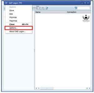 VBA How To Disable SAP Scripting Pop Up Windows When Launching A Macro Mister Paton