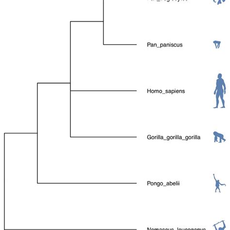 Species Taxonomy Tree Obtained Using Example 3 Download Scientific Diagram