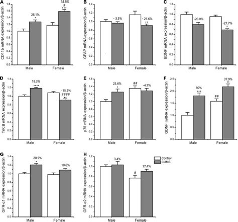 Cums Influenced The Mrna Expression Of Microglial And Astroglial Marker
