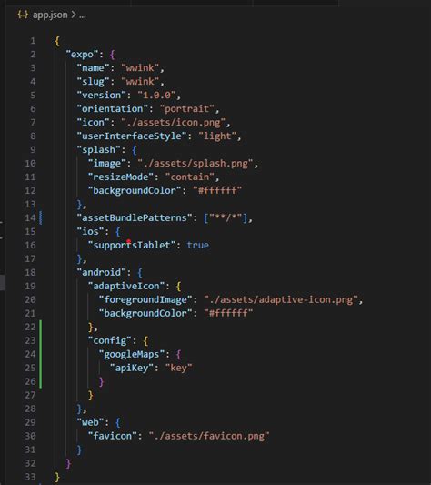 Firebase API Key Not Found Check That Com Google Android Geo API KEY Error In Expo