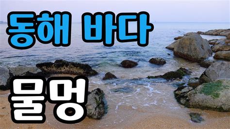 동해바다 잔잔한 파도소리sounds Of Nature 자연의 소리 영상 명상 공부 휴식 수면 효과음 백색소음 Youtube