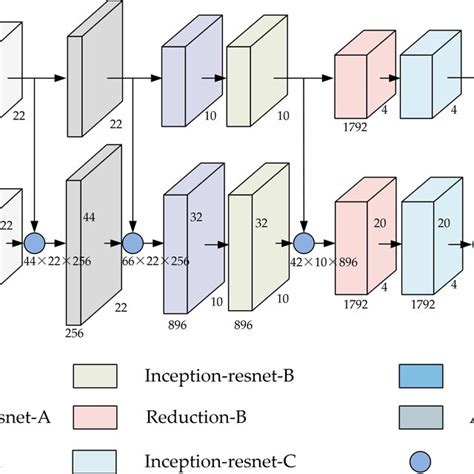 dual branch net network structure download scientific diagram