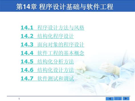 第14章 程序设计基础与软件工程 word文档在线阅读与下载 无忧文档