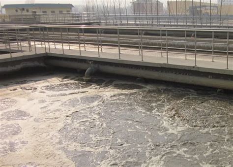 污水处理之活性污泥法 知乎