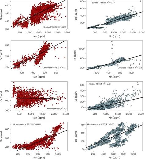 Dietary Strategies Of Pleistocene Pongo Sp And Homo Erectus On Java Indonesia Rpleistocene