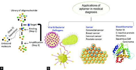 Aptamer Generation And Applications A Systematic Evaluation Of