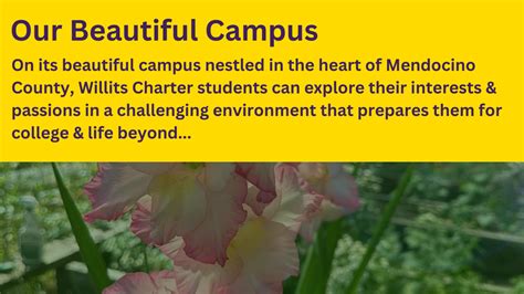 Willits Charter School