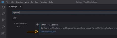 How To Install Fonts In Vs Code Easy Steps Ppda Designs