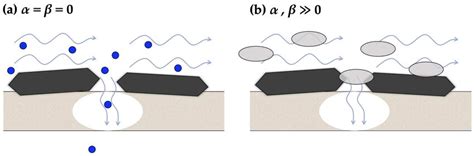 Effect Of Fouling On The Permeate Behavior Of Permeating Particles A Download Scientific