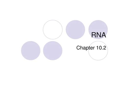 Ppt Rna Powerpoint Presentation Free Download Id 6390639