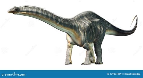 Apatosaurus Stock Illustration Illustration Of Herbivorous 179074969