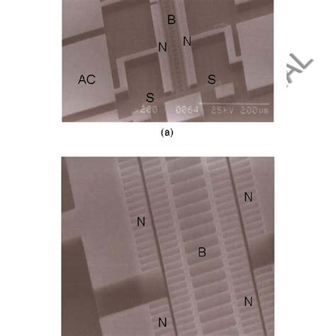 A Parametrically Excited Mem Oscillator The Backbone B Is The Download Scientific
