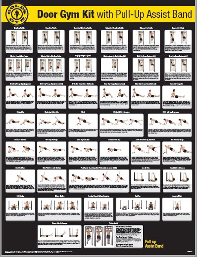 Golds Gym Exercise Chart