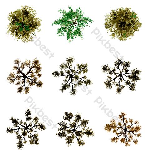 Set Of Tree Top PNG Images EPS Free Download Pikbest