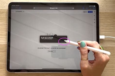 How To Open Downloaded Assets In Procreate CatCoq