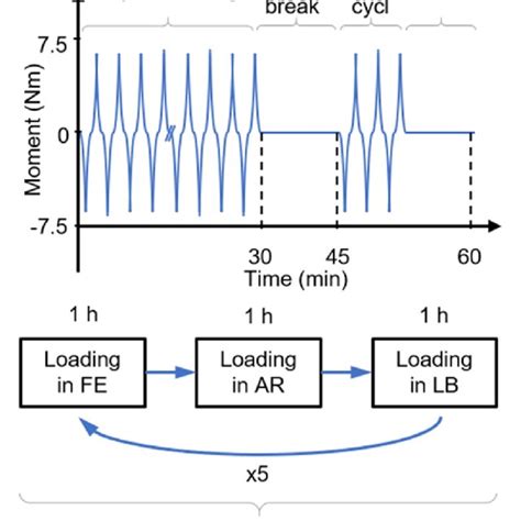 Schematic Description Of The Loading Protocol Performed On Each