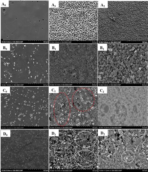 Figure 1 From The Structural Thermal And Morphological Characterization Of Polylactic AcidΒ