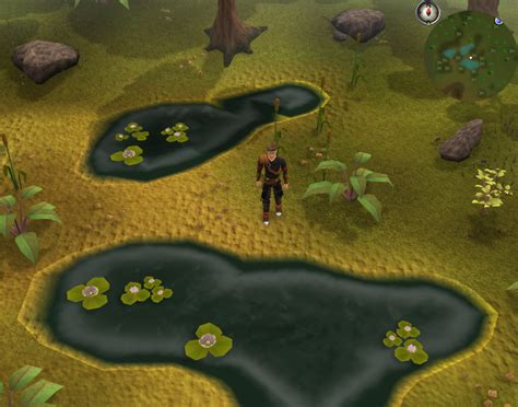 File Clue Scroll Medium 06 Degrees 31 Minutes North 01 Degrees 46