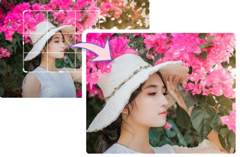 Best AI Picture Cropper Crop Images For Free Online