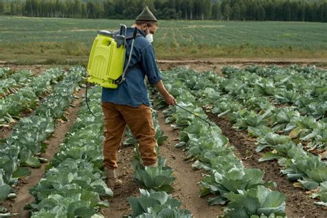 Biopesticides A Green Approach Towards Agricultural Pests