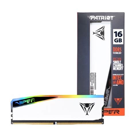 패트리어트 Ddr5 5600 Cl38 Viper Elite 5 Rgb [32gb] 에누리 가격비교