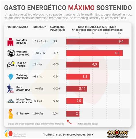 Gasto Energético En El Deporte Claves Salud And Movimiento