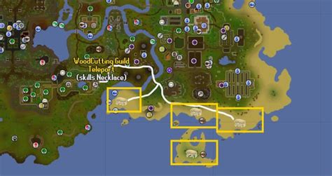 Osrs Ammonite Crabs Guide How To Get There Training Methods Osrs Guide