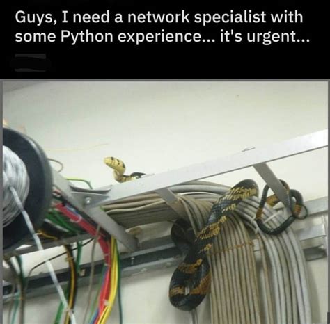 Programming Memes Top Funniest Coding Memes Only Programmers Will Get