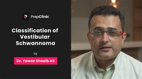 Classification Of Vestibular Schwannoma Dr Yawar Shoaib Ali Neurosurgery Prepclinic Youtube